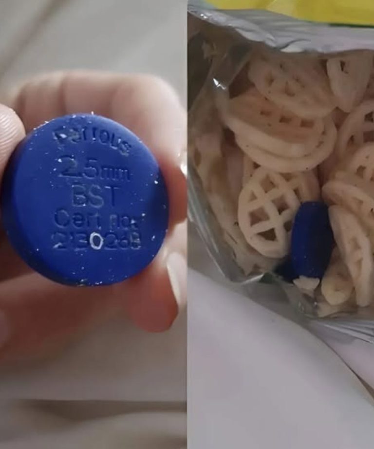 We Found a Strange Blue Object in a Bag of Chips—Here’s What It Turned ...