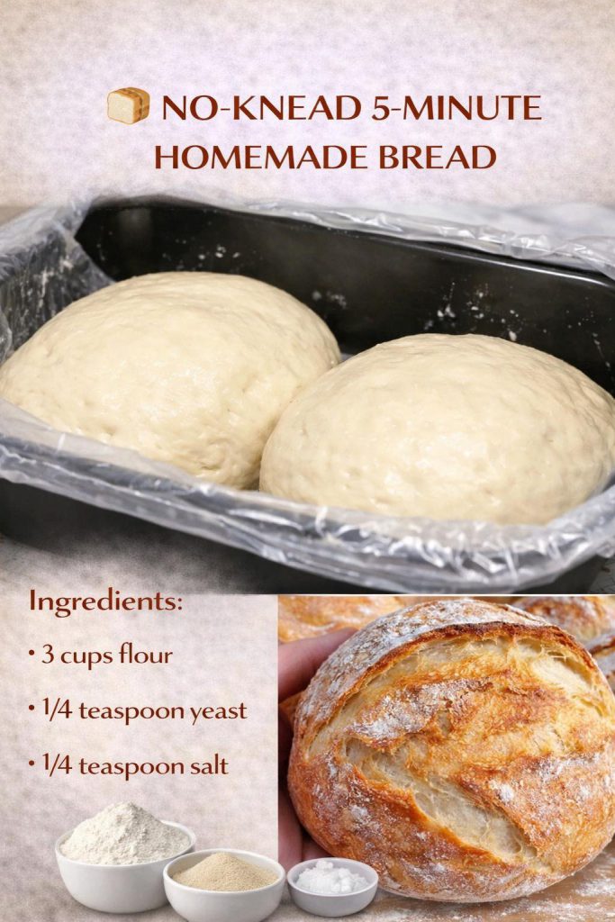 No-Knead 5-Minute Homemade Bread – Best Recipes