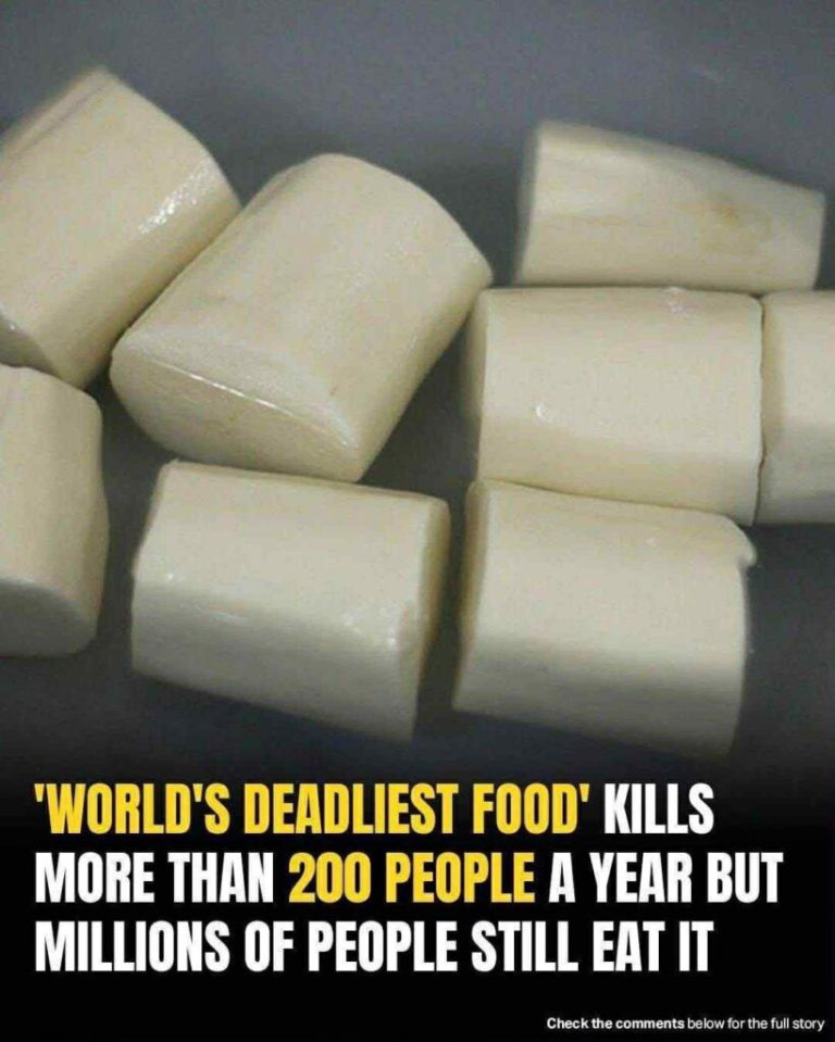 Over 200 People Die From the “World’s Deadliest Food” Every Year — Yet ...