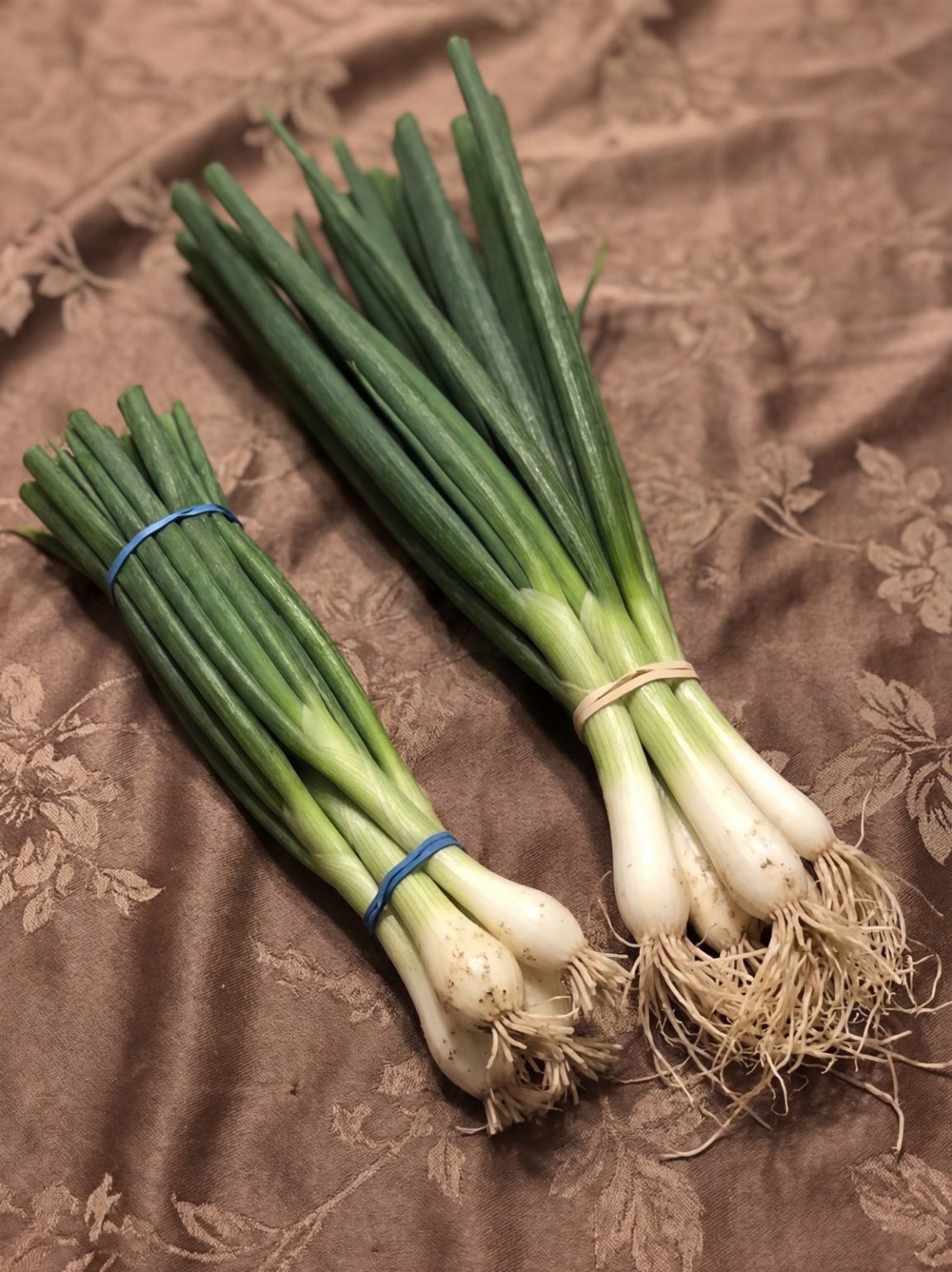 Difference Between Green Onions, Scallions, Spring Onions and Chives ...