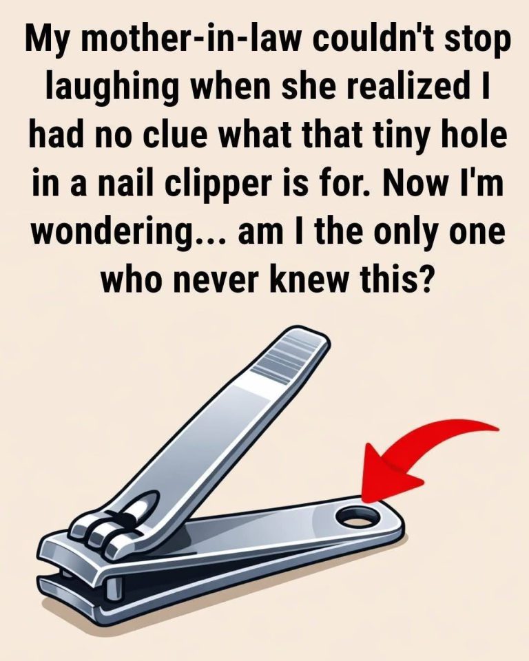 What’s the Small Round Hole on Your Nail Clipper For? A Tiny Detail ...